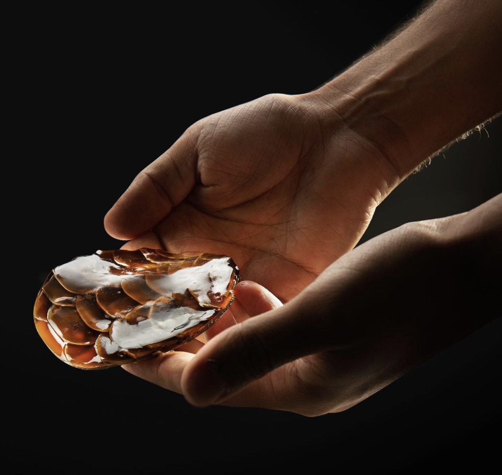 MENU – Pipero Roma